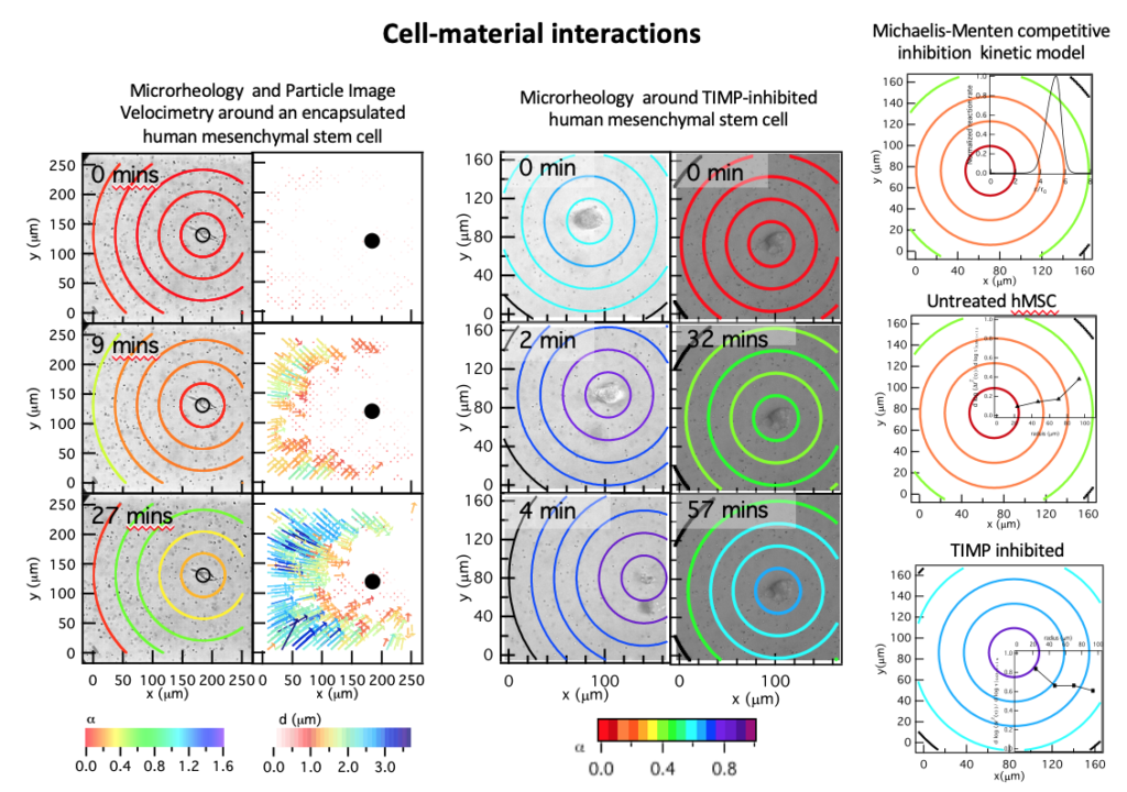 Research summary - Schultz lab