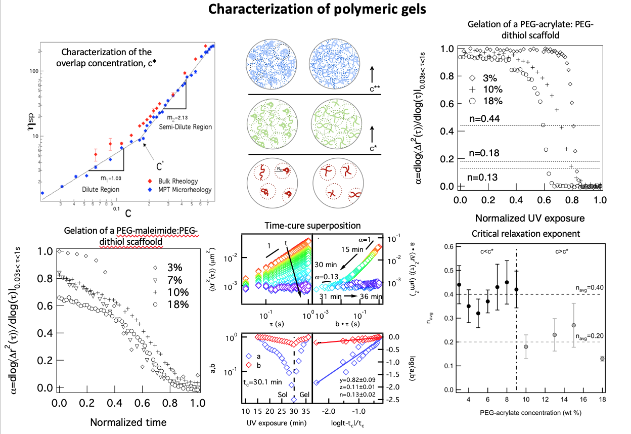 Research - Schultz lab